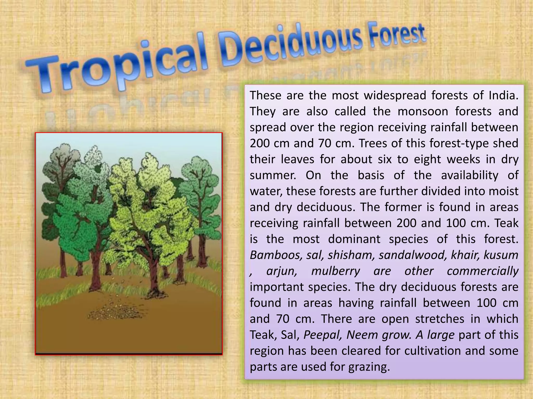 Types of forest in India | PPTX