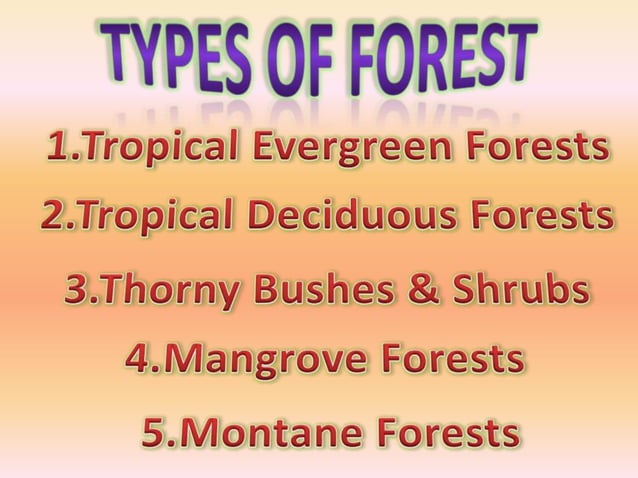 Types of forest in India | PPTX | Zoos & Aquariums | Attractions