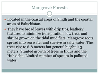 Types of Forests in Pakistan | PPTX