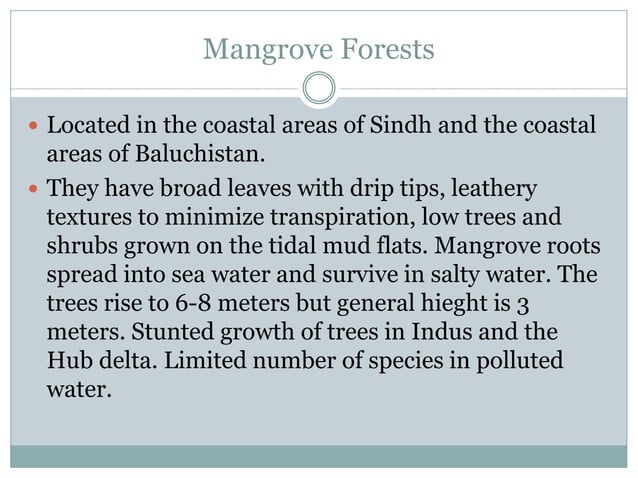Types of Forests in Pakistan | PPTX | Geography | Science