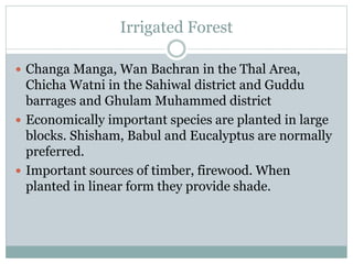 Types of Forests in Pakistan | PPTX