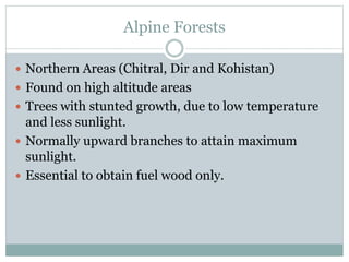 Types of Forests in Pakistan | PPTX
