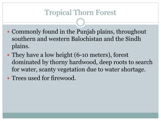Types of Forests in Pakistan | PPTX