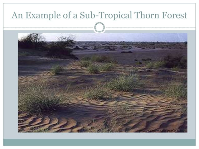 Types of Forests in Pakistan | PPTX | Geography | Science