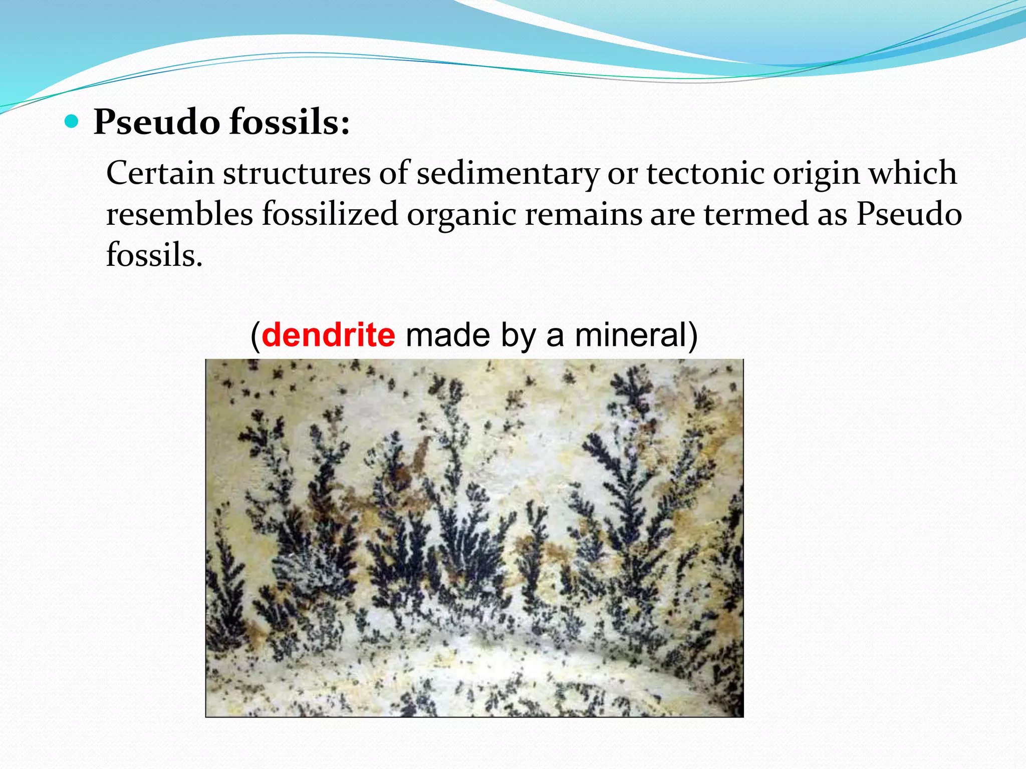 Types of fossils and uses | PPTX