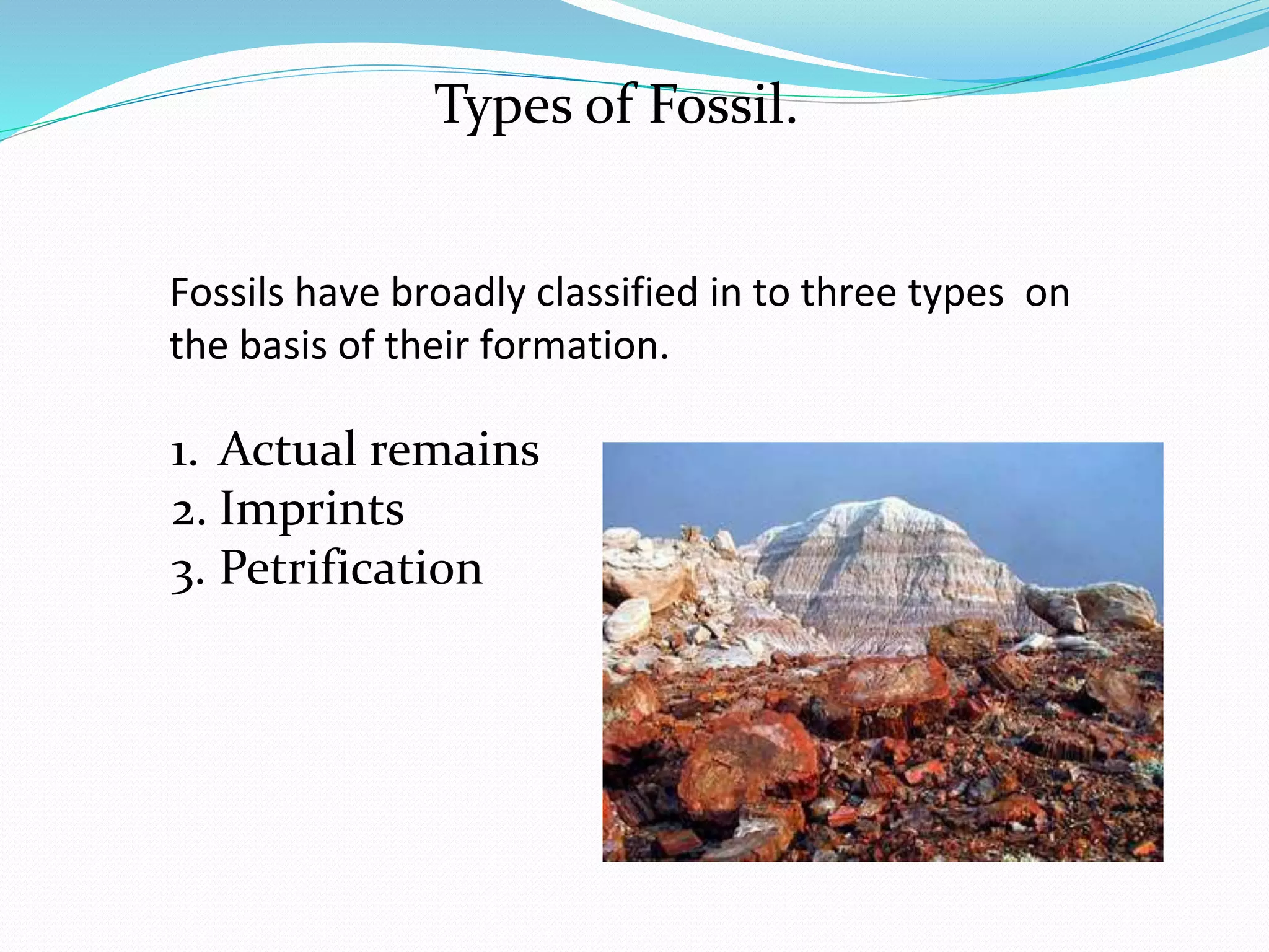 Types of fossils and uses | PPTX