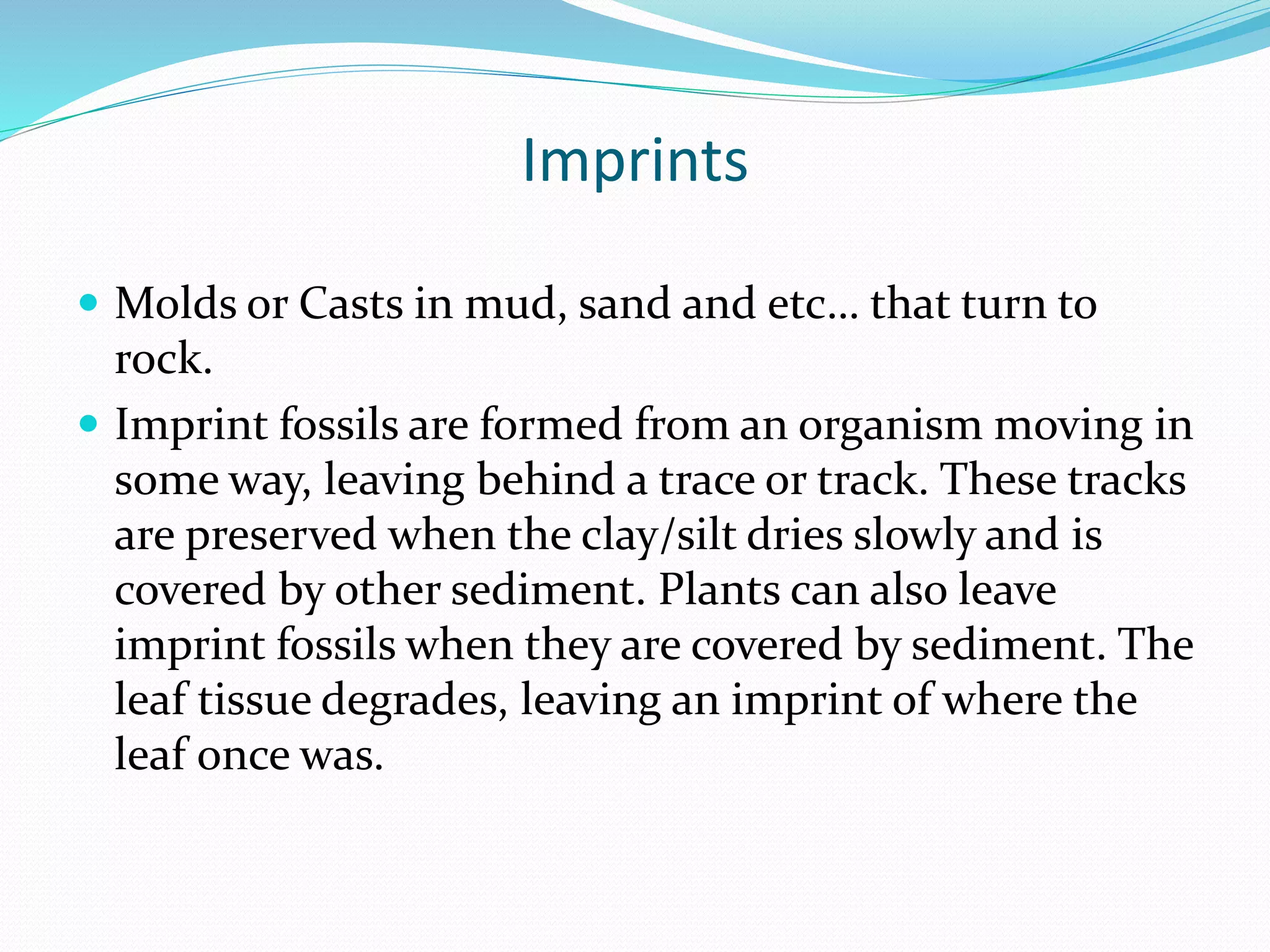 Types of fossils and uses | PPTX
