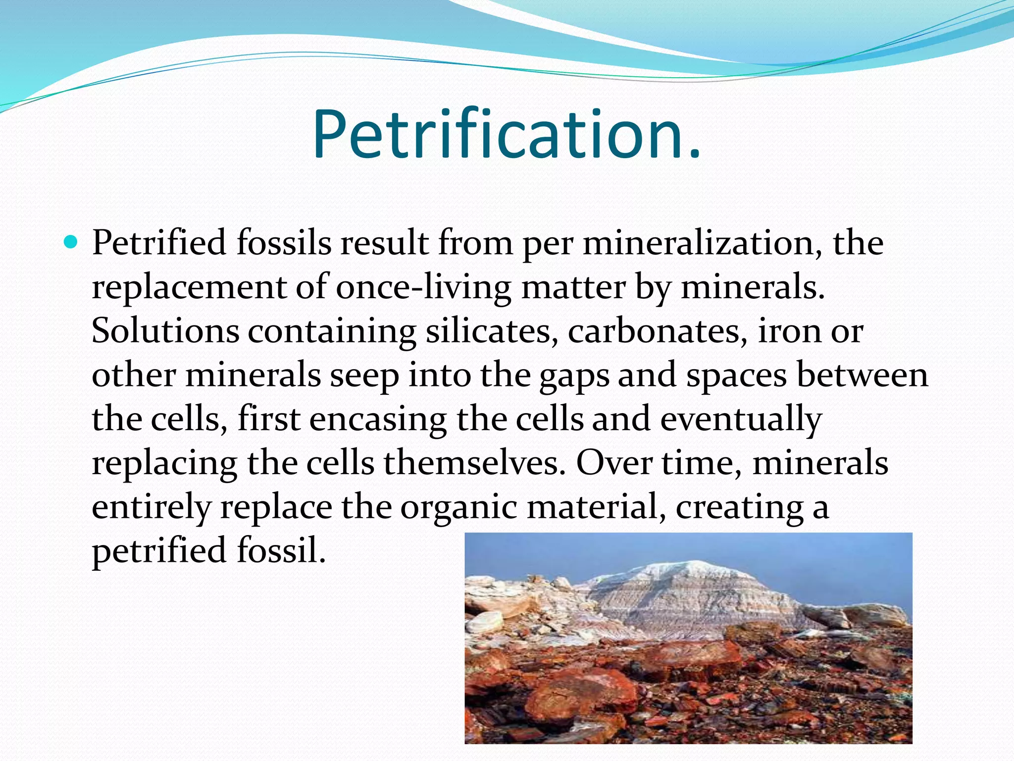 Types of fossils and uses | PPTX