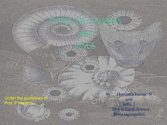 Types of fossils and uses | PPTX | Geology | Science