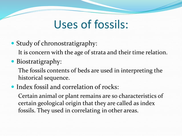 Types of fossils and uses | PPTX | Geology | Science