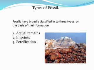 Types of fossils and uses | PPTX