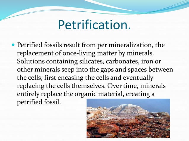 Types of fossils and uses | PPTX | Geology | Science