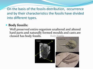 Types of fossils and uses | PPTX