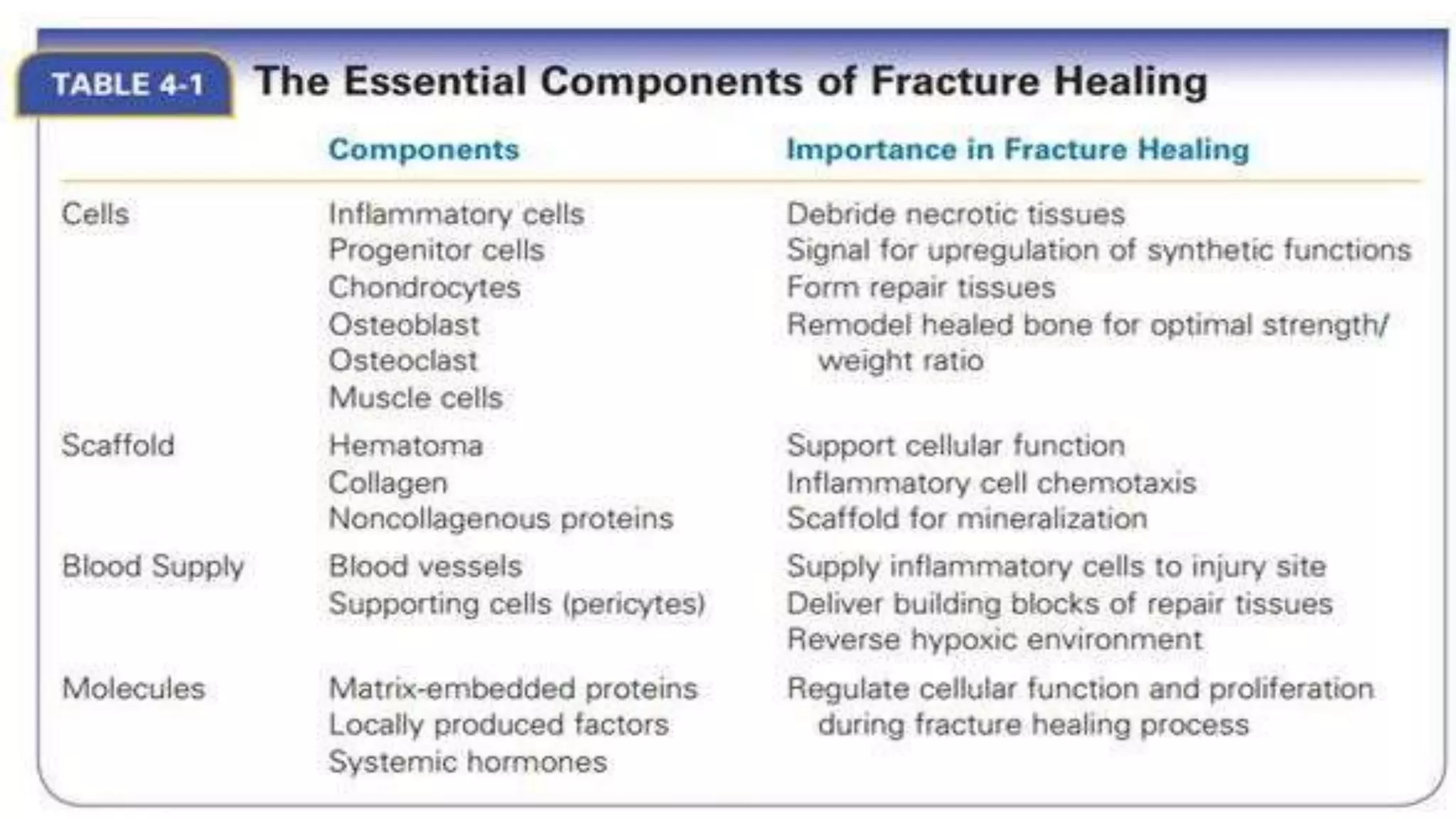 Types of fractures ,fracture healing stages and factors influencing ...