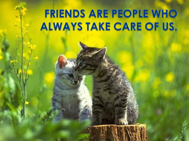 Types of friends..........!!! | PPT