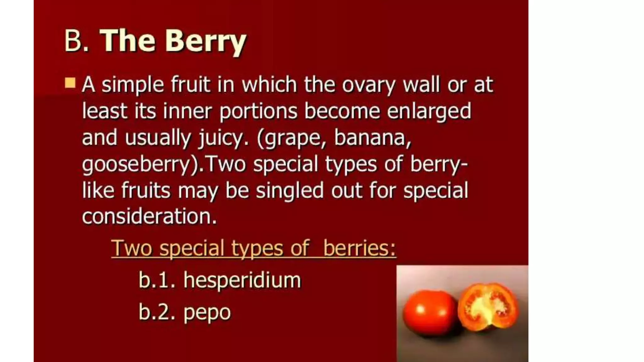 Types of fruit simple aggregate multiple | PPTX