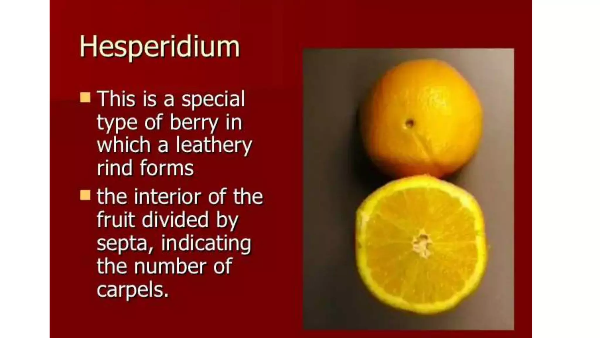 Types of fruit simple aggregate multiple | PPTX