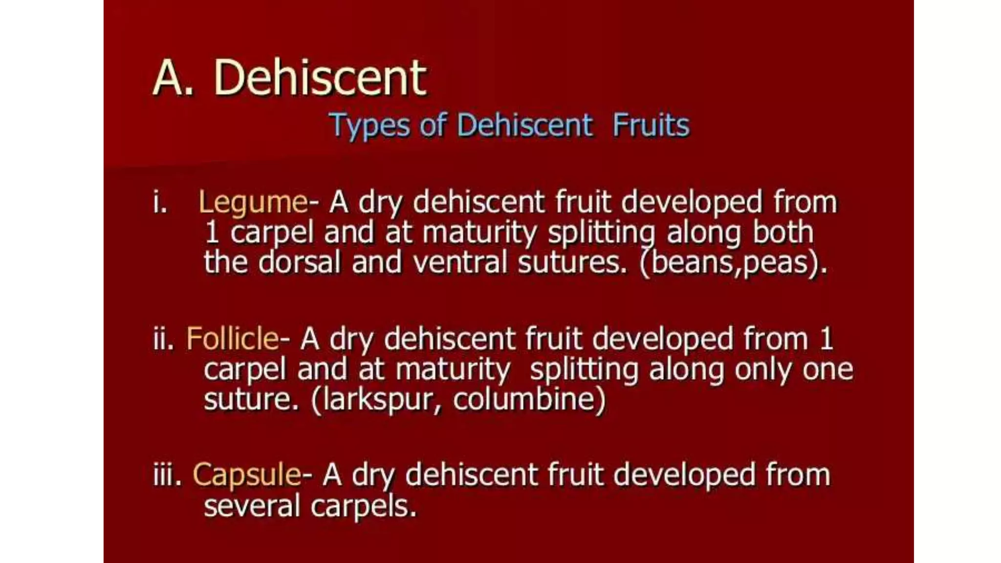 Types of fruit simple aggregate multiple | PPTX