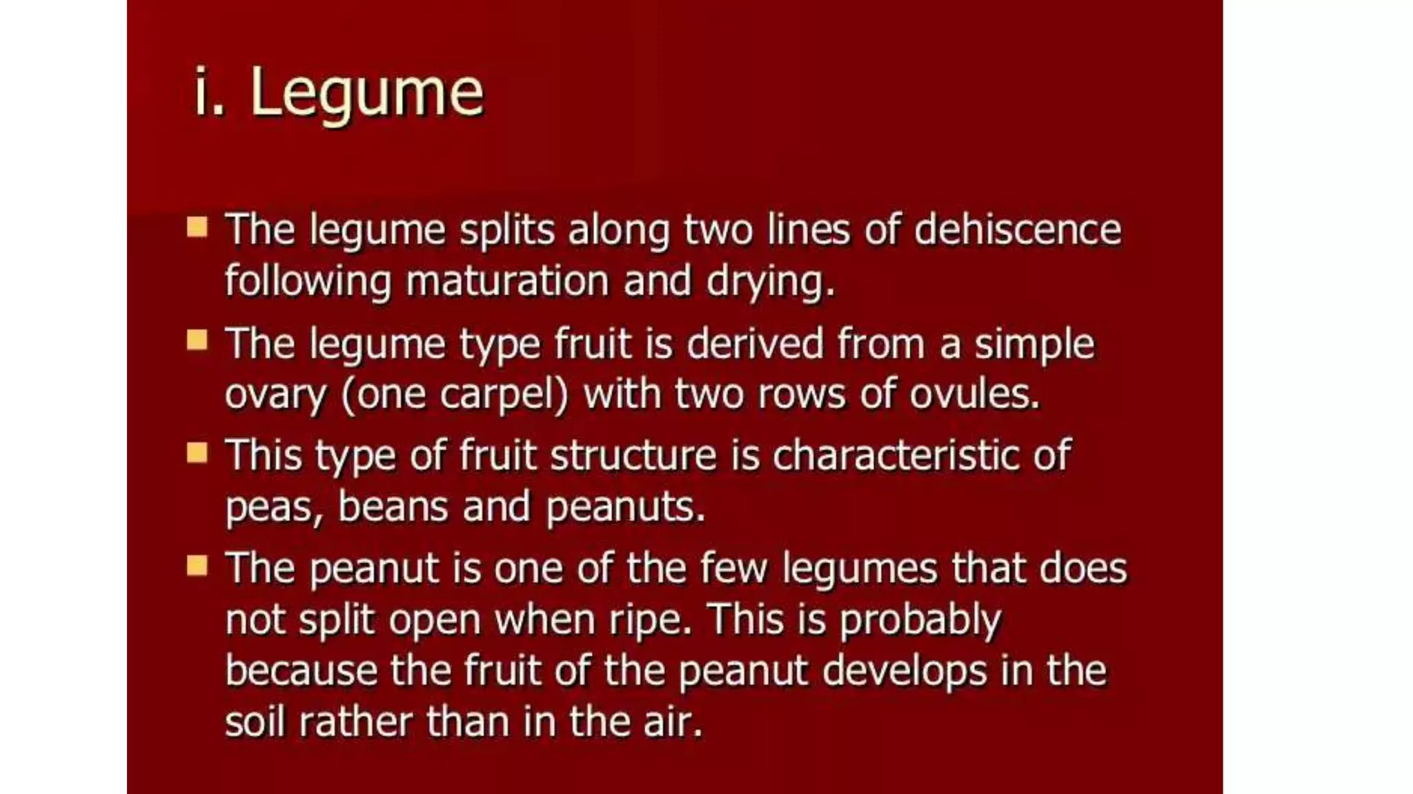 Types of fruit simple aggregate multiple | PPTX