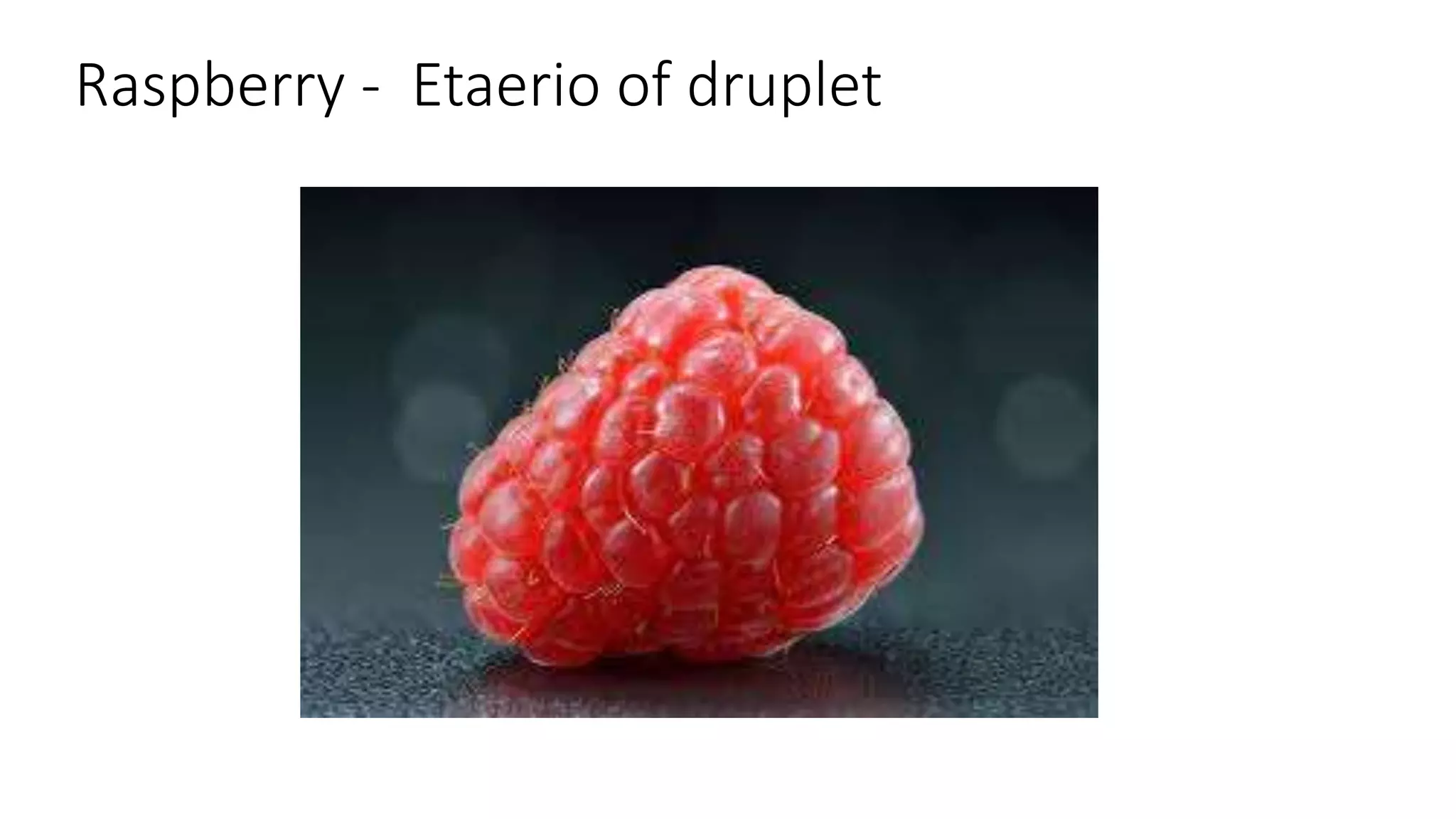 Types of fruit simple aggregate multiple | PPTX