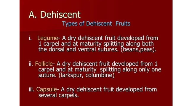 Types of fruit simple aggregate multiple | PPTX
