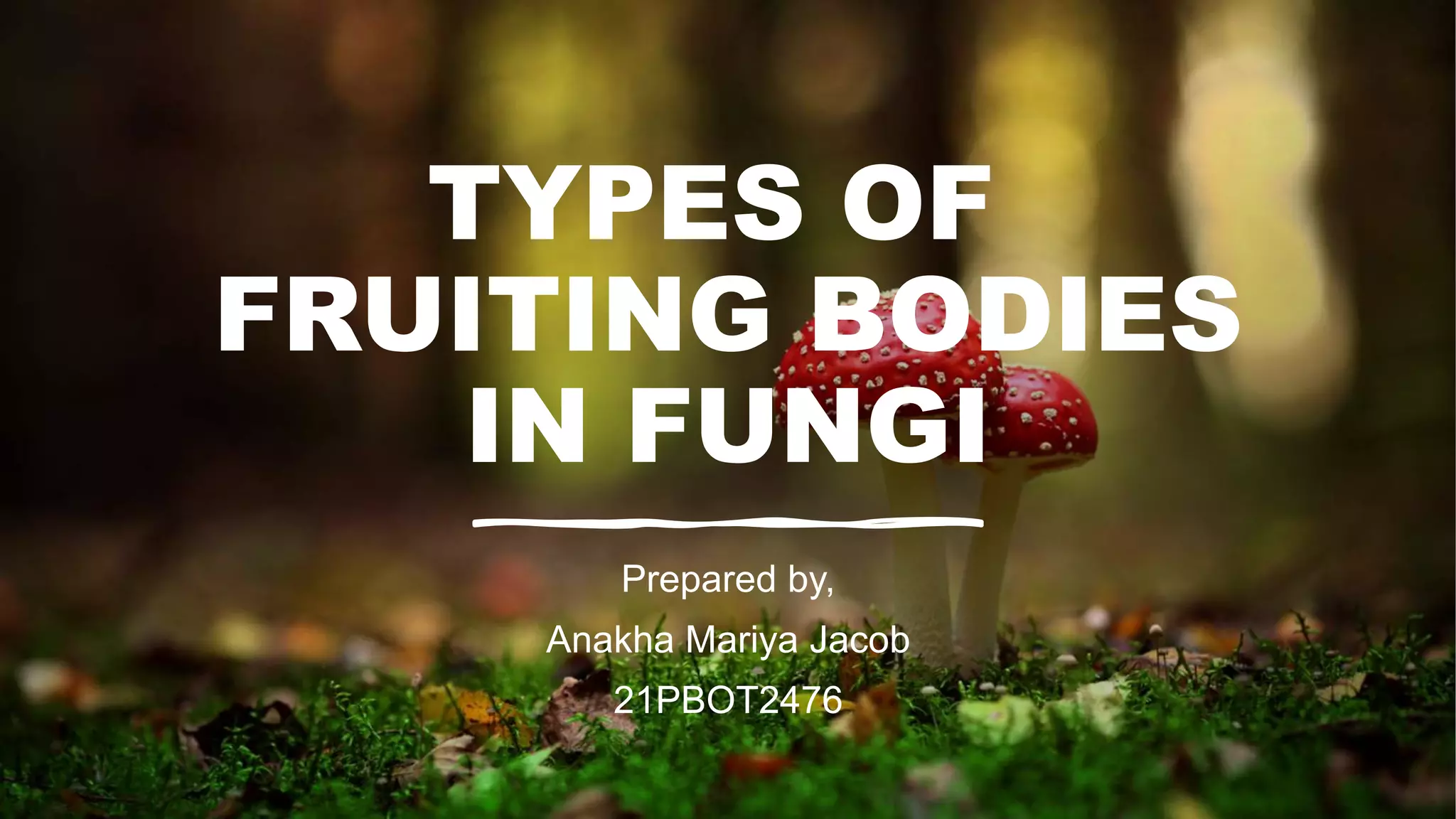 Types of fruiting bodies in fungi | PPTX
