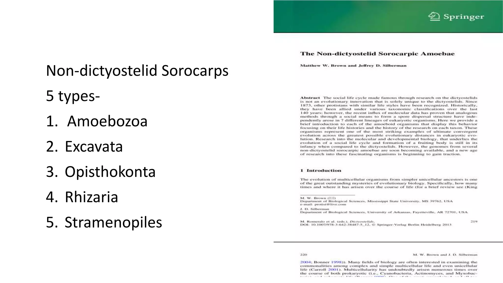 Types of fruiting bodies in fungi | PPTX