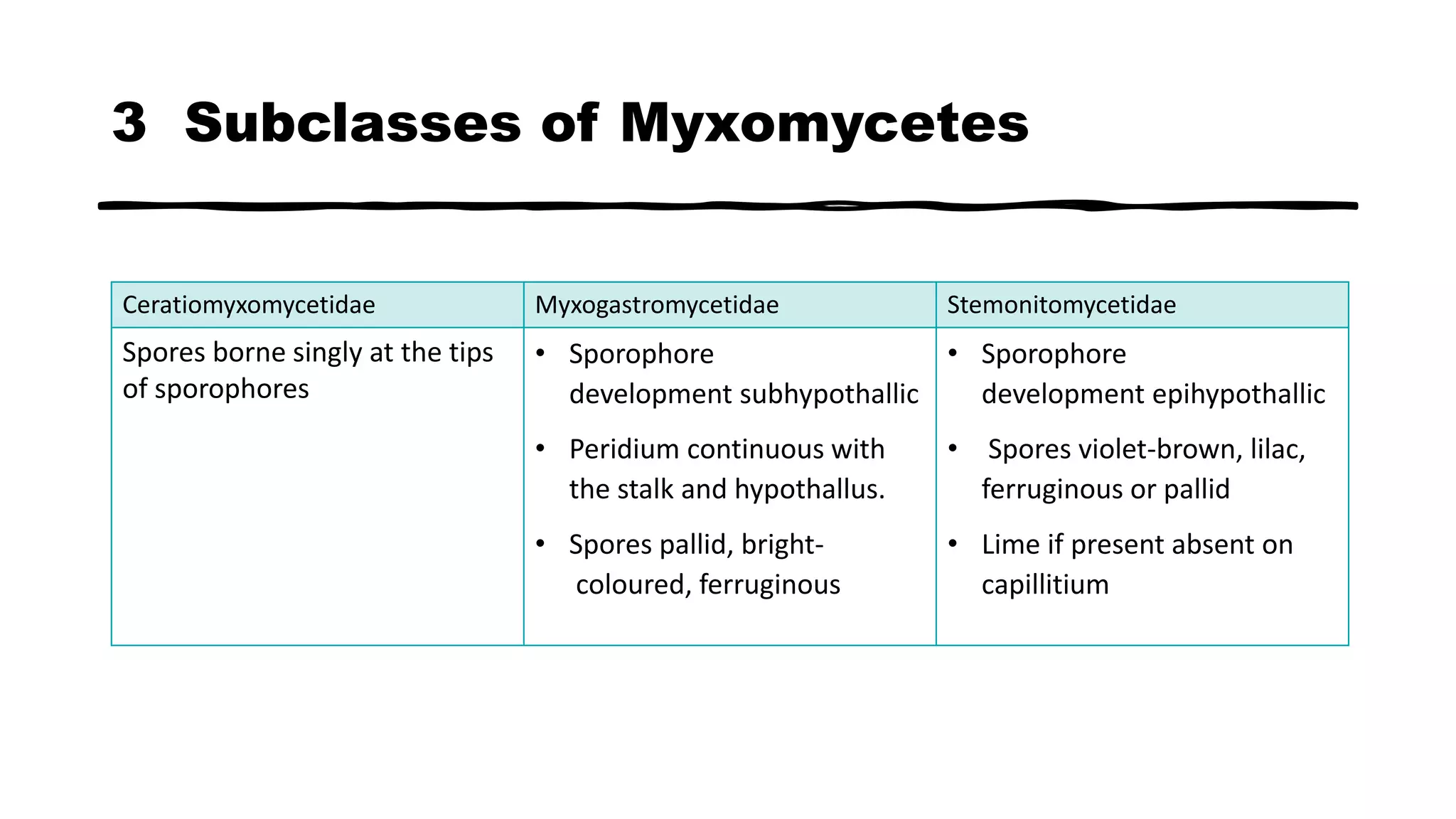 Types of fruiting bodies in fungi | PPTX