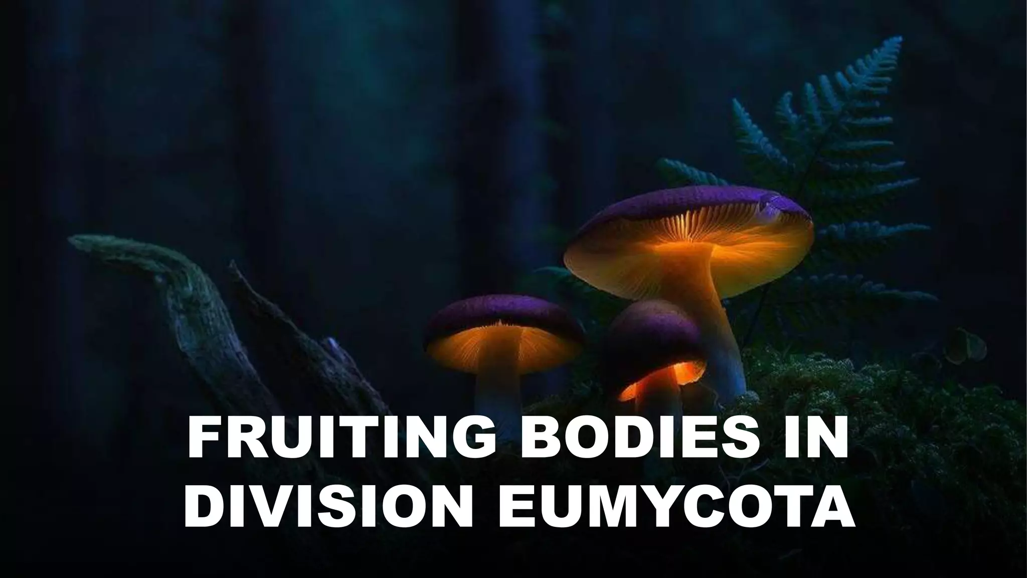 Types of fruiting bodies in fungi | PPTX