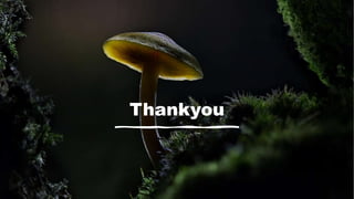 Types of fruiting bodies in fungi | PPTX