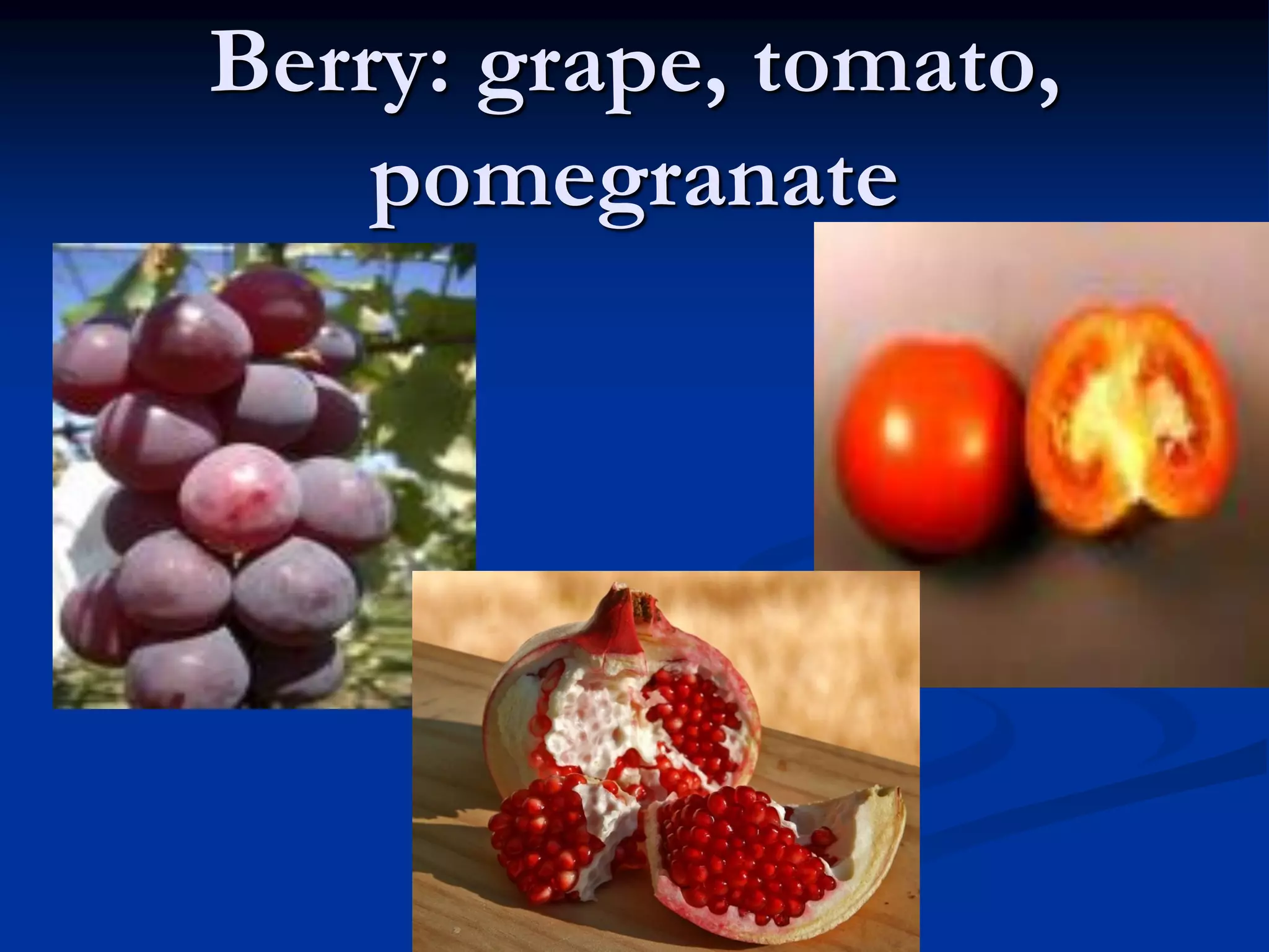 TYPES OF Fruits plant morpho .pdf