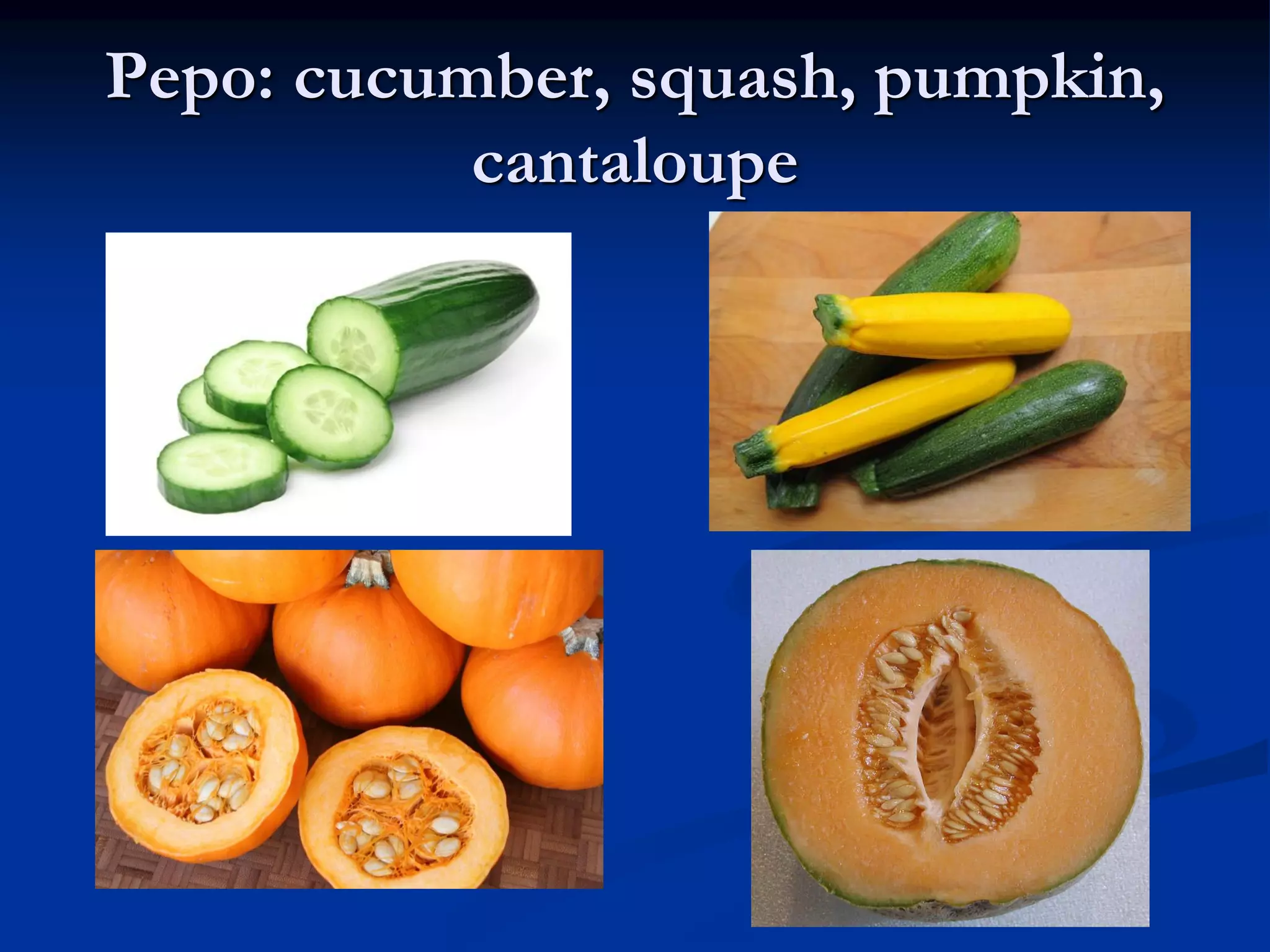 TYPES OF Fruits plant morpho .pdf