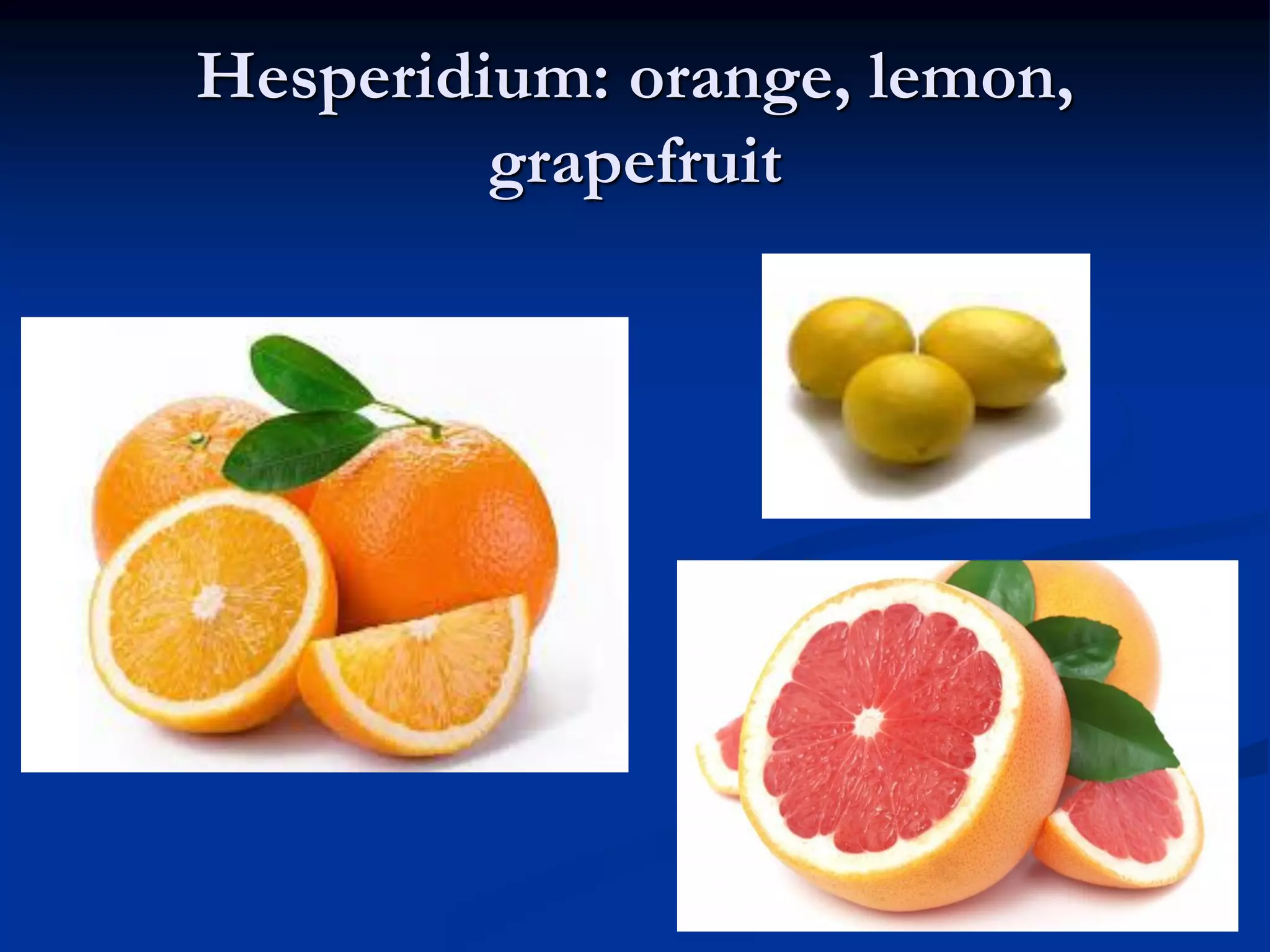 TYPES OF Fruits plant morpho .pdf