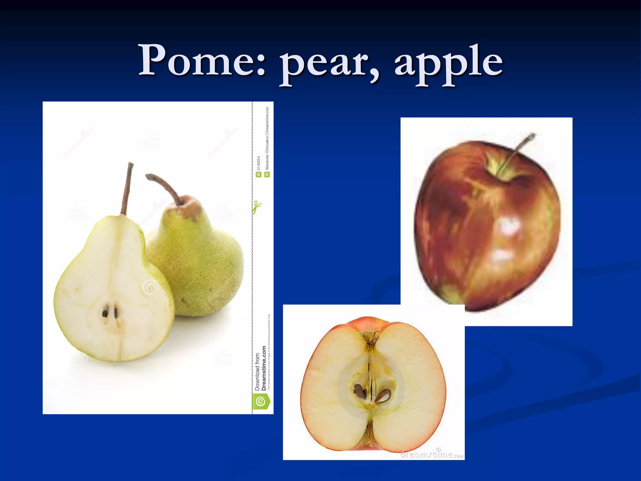 TYPES OF Fruits plant morpho .pdf