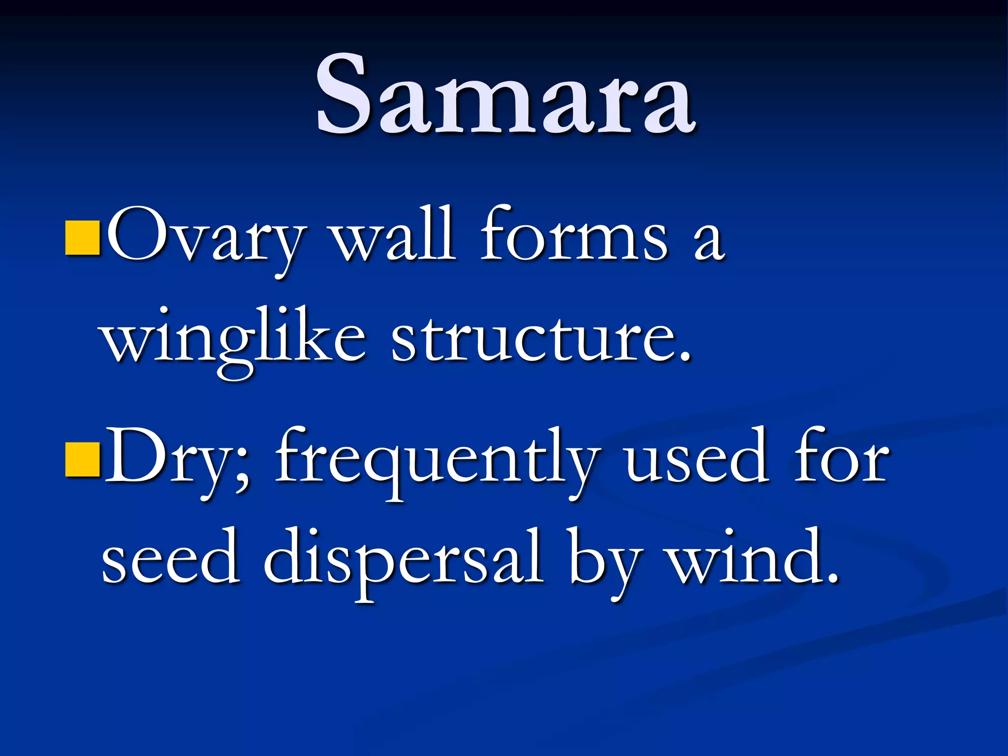 TYPES OF Fruits plant morpho .pdf