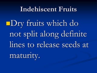 TYPES OF Fruits plant morpho .pdf