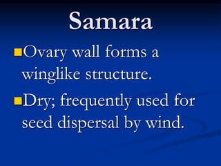 TYPES OF Fruits plant morpho .pdf