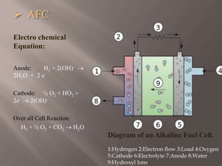 Types of fuel cells | PPTX