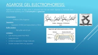 Types of gel electrophoresis | PPTX