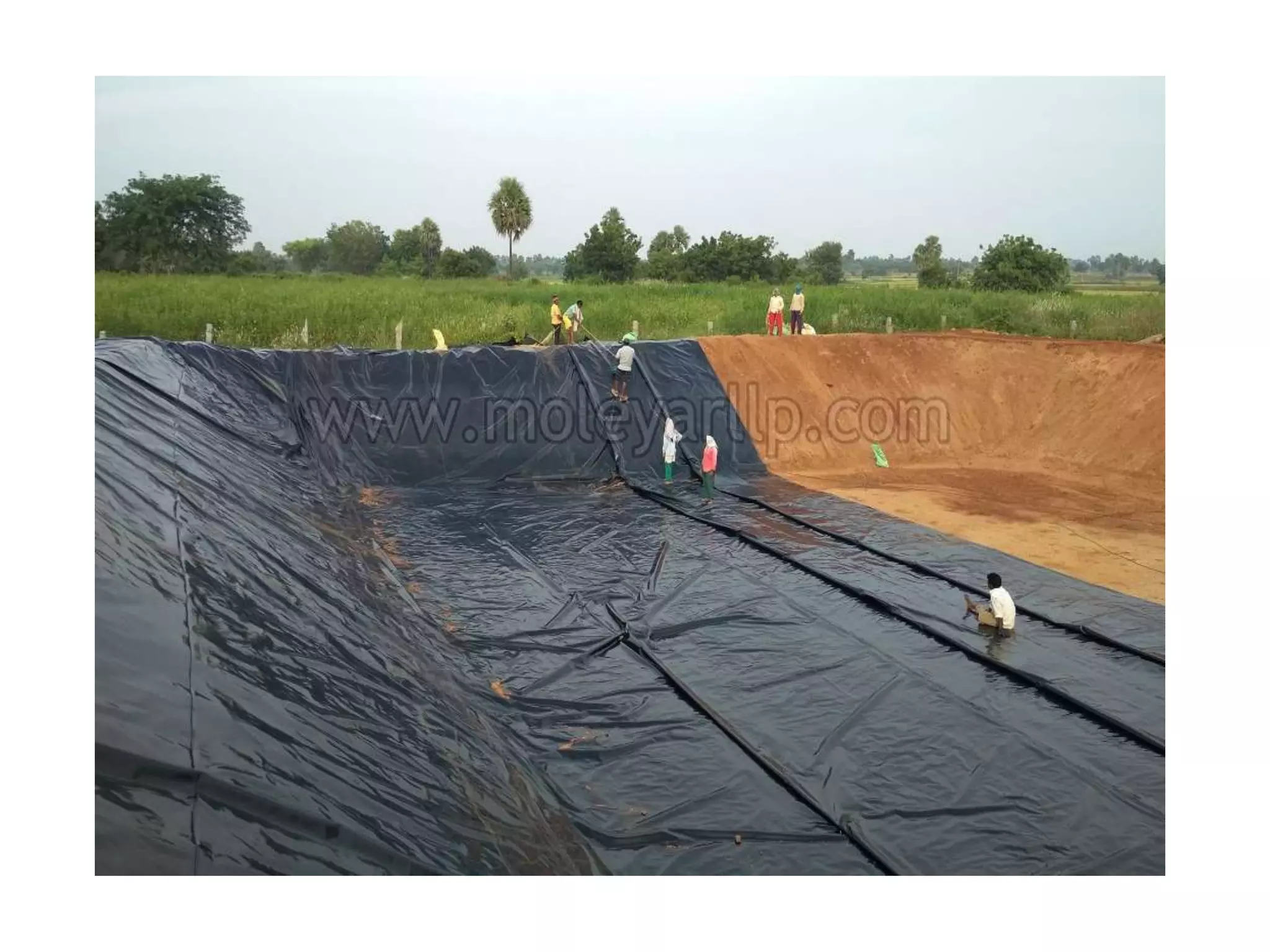 Types of geosynthetics | PPTX