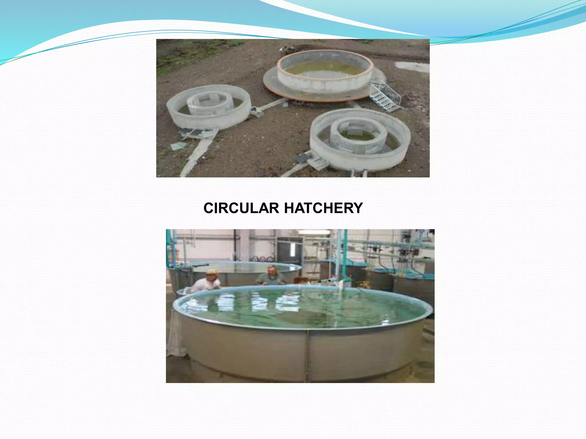 Types of hatchery and their operation | PPTX