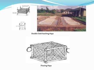 Types of hatchery and their operation | PPTX