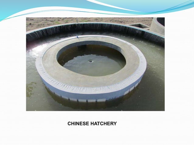 Types of hatchery and their operation