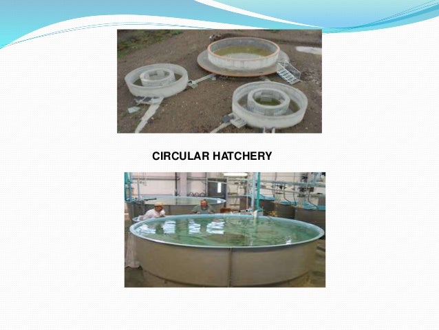 Types of hatchery and their operation