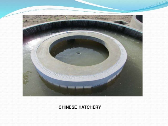 Types of hatchery and their operation