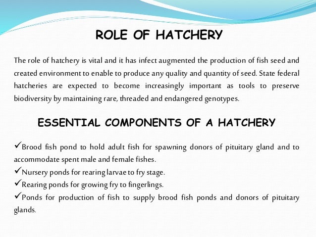 Types of hatchery and their operation