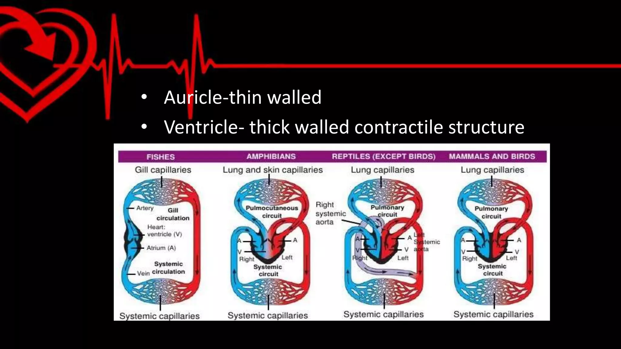 Types of heart | PPTX