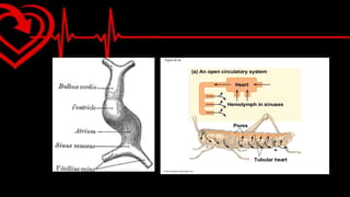 Types of heart | PPTX