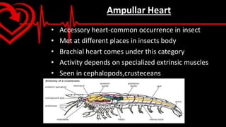 Types of heart | PPTX