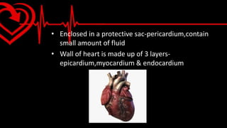 Types of heart | PPTX
